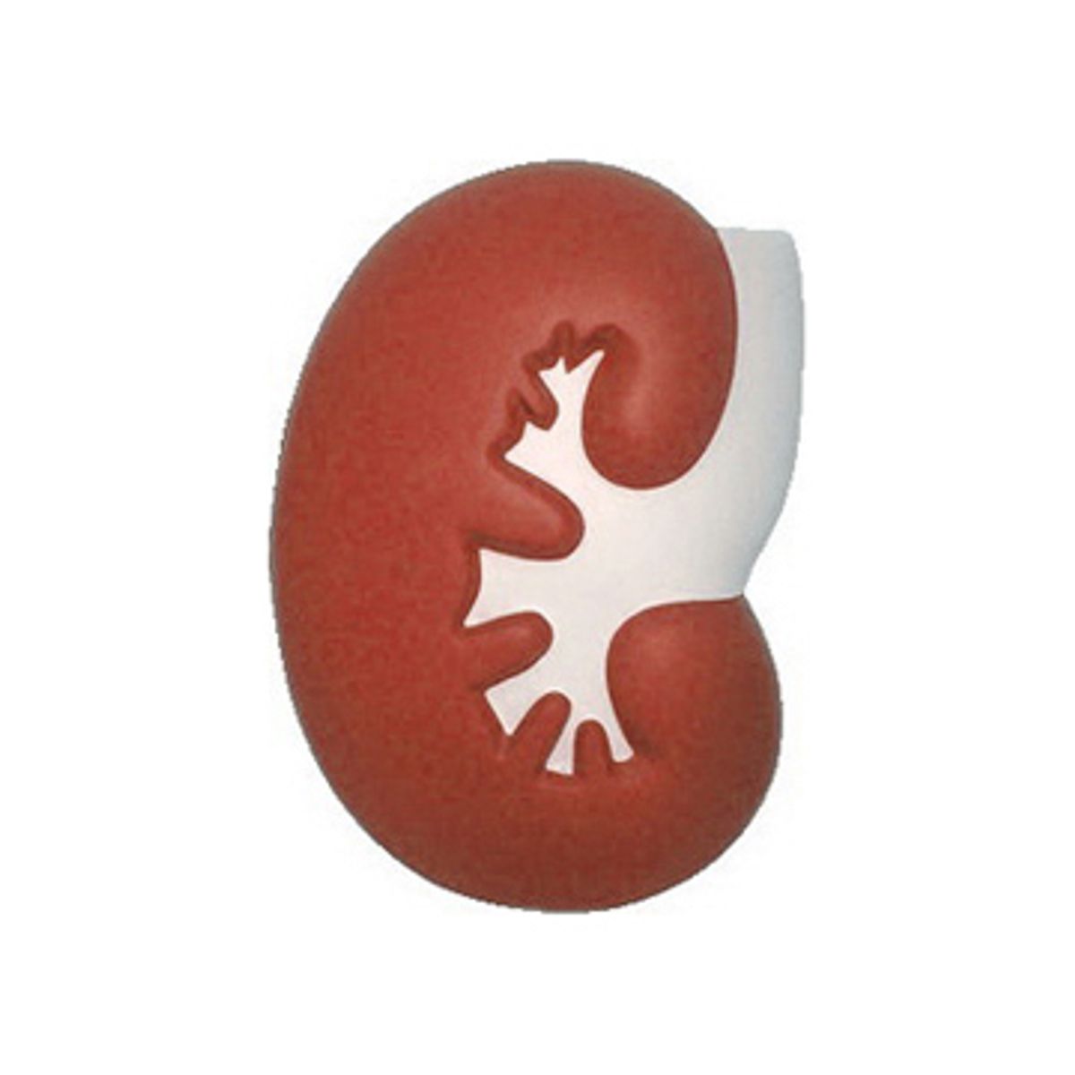 Custom Printed Promotional Large Kidney Shape Stress Reliever NZ ...